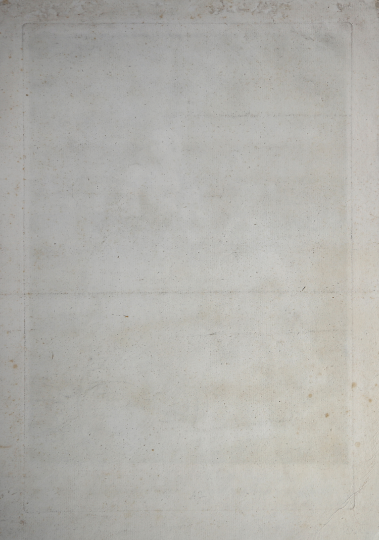 Bella è costei, ma con quel volto, orrore...