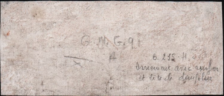 Frieze with a palmette between foliate scrolls [Grotesque head of a fish]