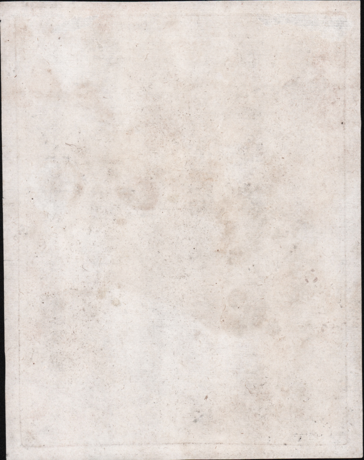 The large grotesque head